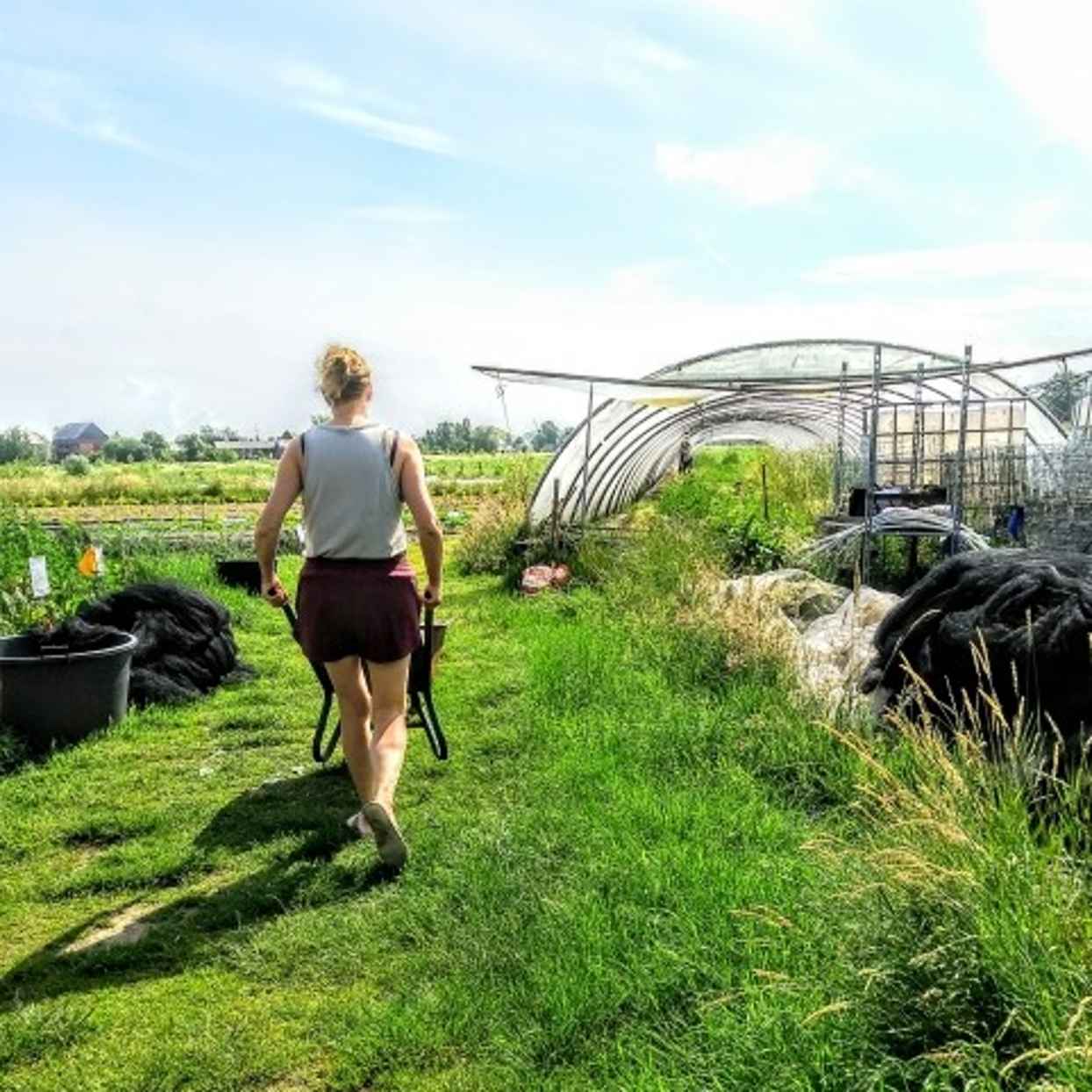 Triodos Foundation reageert op de oproep van WWOOF!